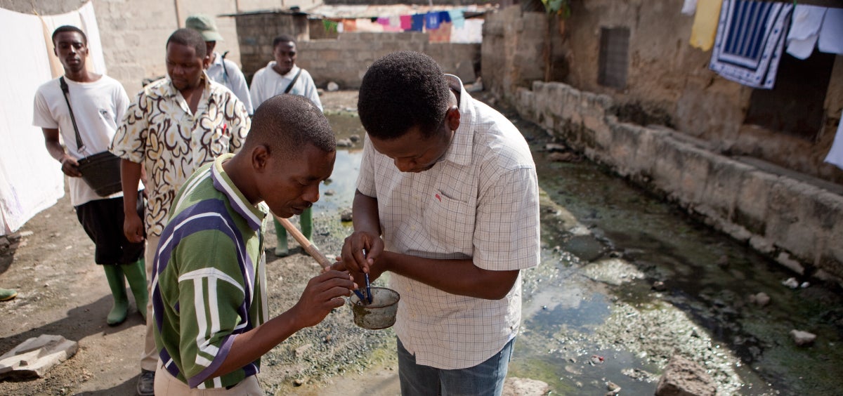 Speech urges sustained effort to eradicate malaria | Bill Gates Speech urges sustained effort to eradicate malaria | Bill Gates